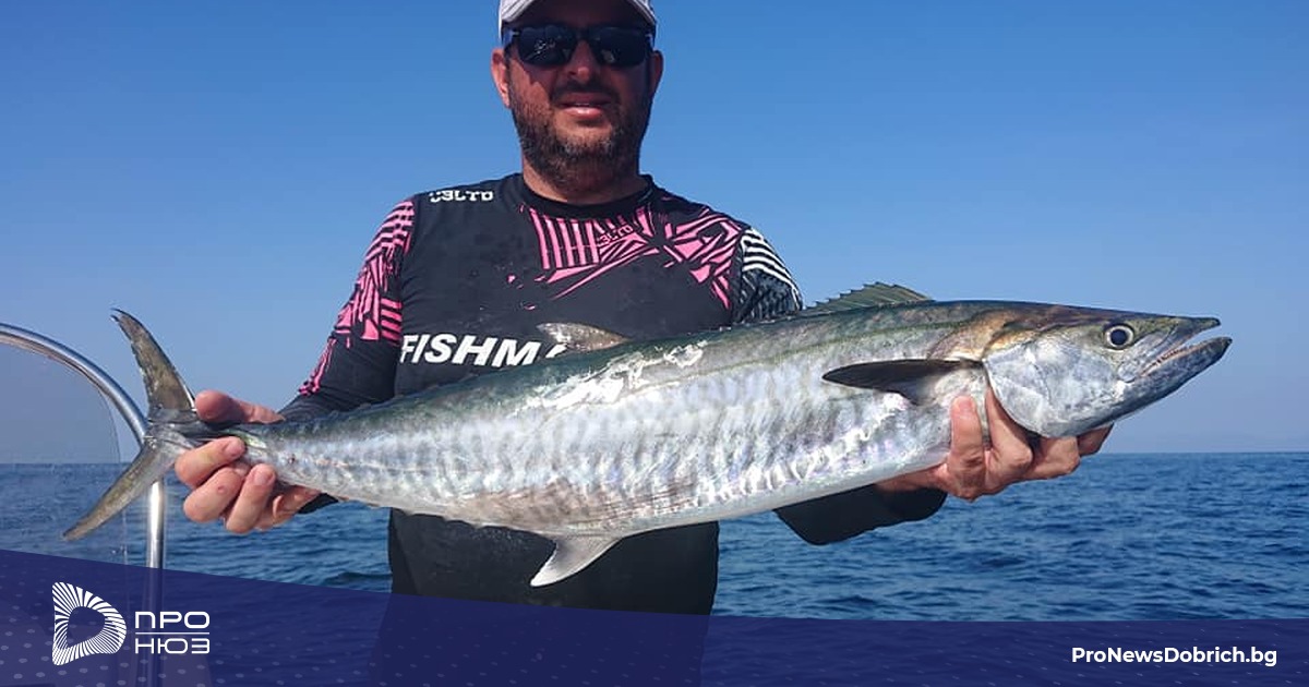 Защо рибата по Северното Черноморие не кълве тази есен? Зевзеци: Защото ...